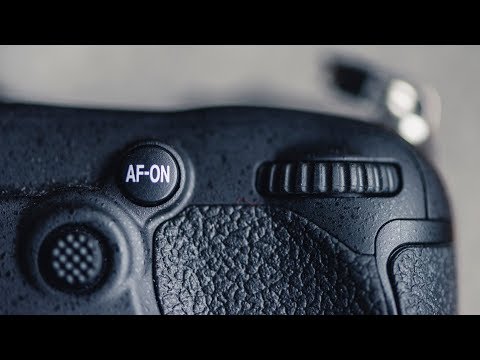 Nikon D500: Autofocus settings for wildlife photography (1559)