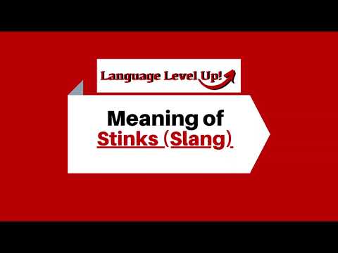Meaning of Stinks | Language Level Up