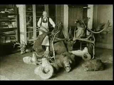 49th Parallel — “Lazerander Filchy”: Brace for the Obscure (60s rock ...