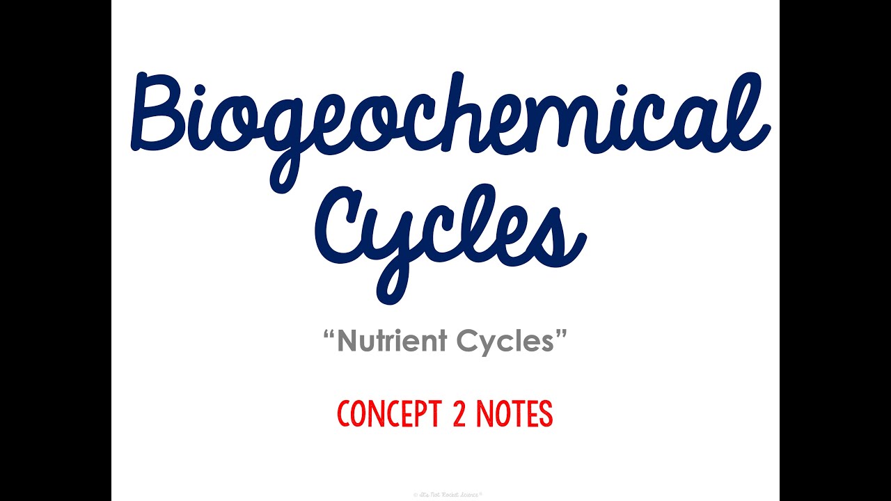 Unit 7 Ecology Concept 2 Notes *UPDATED*
