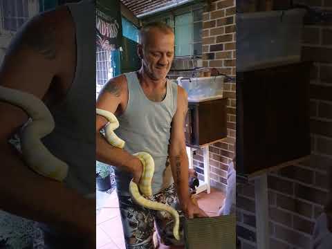 Tom with a snake 🐍 😍