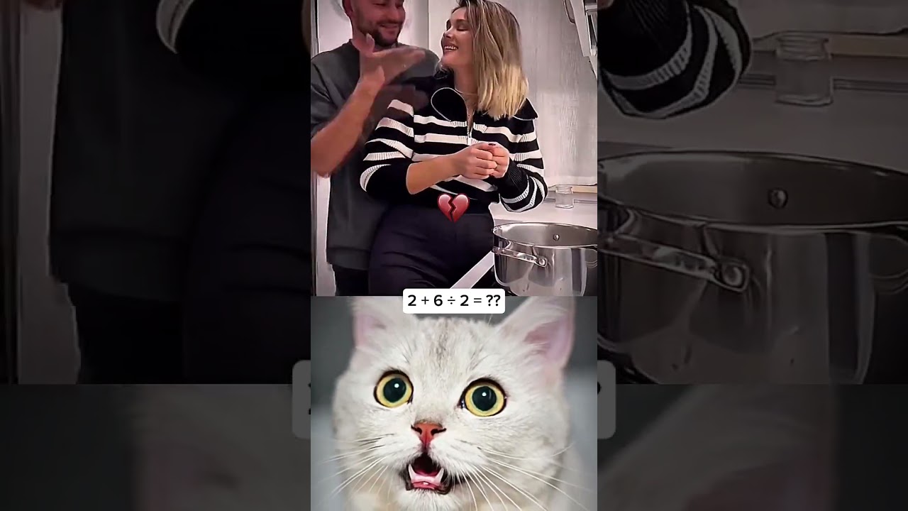 Love Hurts — Especially in the Kitchen 😅 #funny #memes #cat #trending