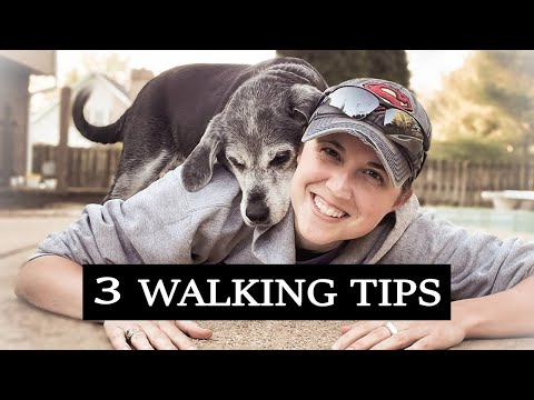Walking With God vs Walking Your Dog | Free Sunday School Lesson