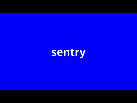 what is the meaning of sentry
