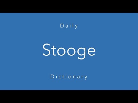 Stooge (Daily Dictionary)