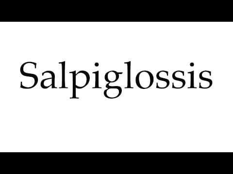 How to Pronounce Salpiglossis