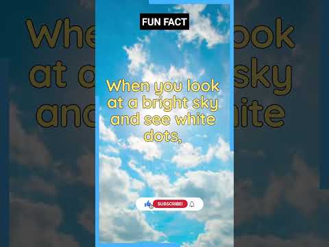 When you look at a bright sky and see white dots, you are looking at #youtubeshorts #shorts