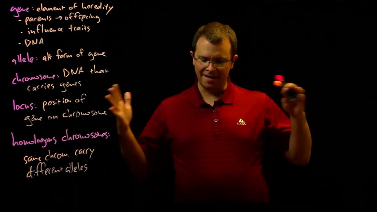Genetics Terminology
