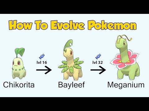 How To Evolve Pokémon - Generation 2 Johto (Animated Sprites)