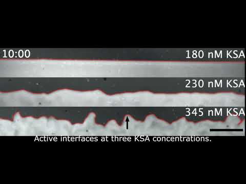 Studying phase separation in liquids at microscopic level when energy is added