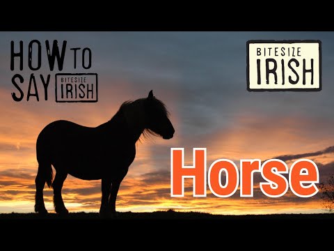 How to say Horse in Irish #bitesizeirish