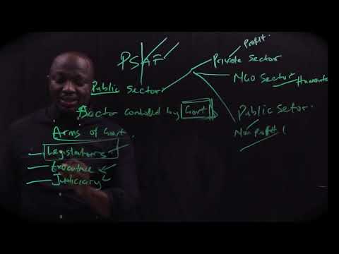 PSAF 02 What is Public Sector ?