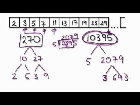 Video 504 - Highest Common Factor 2 - Practice
