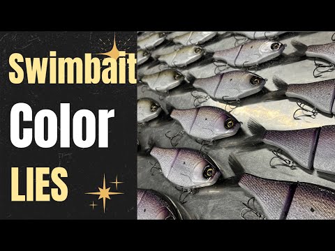SWIMBAIT PAINT JOBS - What To Know - Don't Let Companies Catch YOU!