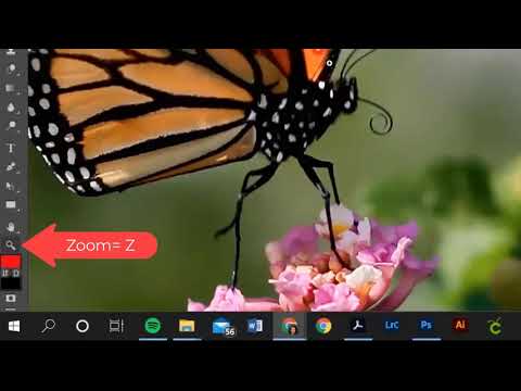 Cropping in Photopea