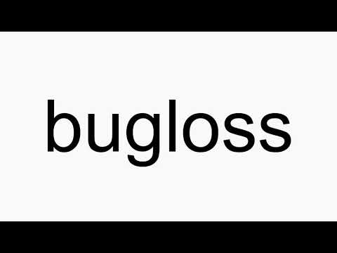 How to pronounce bugloss