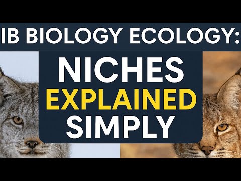 IB Biology Niches Explained Simply (B4.2 Ecology)