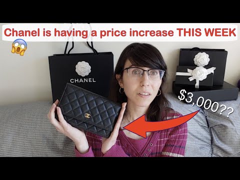 A JANUARY CHANEL PRICE INCREASE? Classic flaps, Reissue, Chanel 19, the WOC... prices are climbing!!