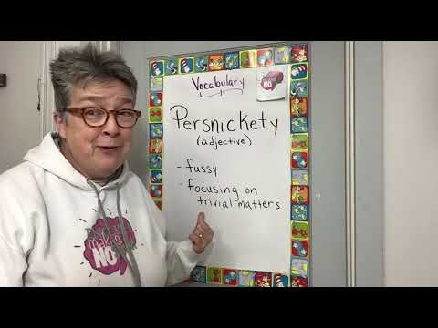 More Fun With Words: PERSNICKETY