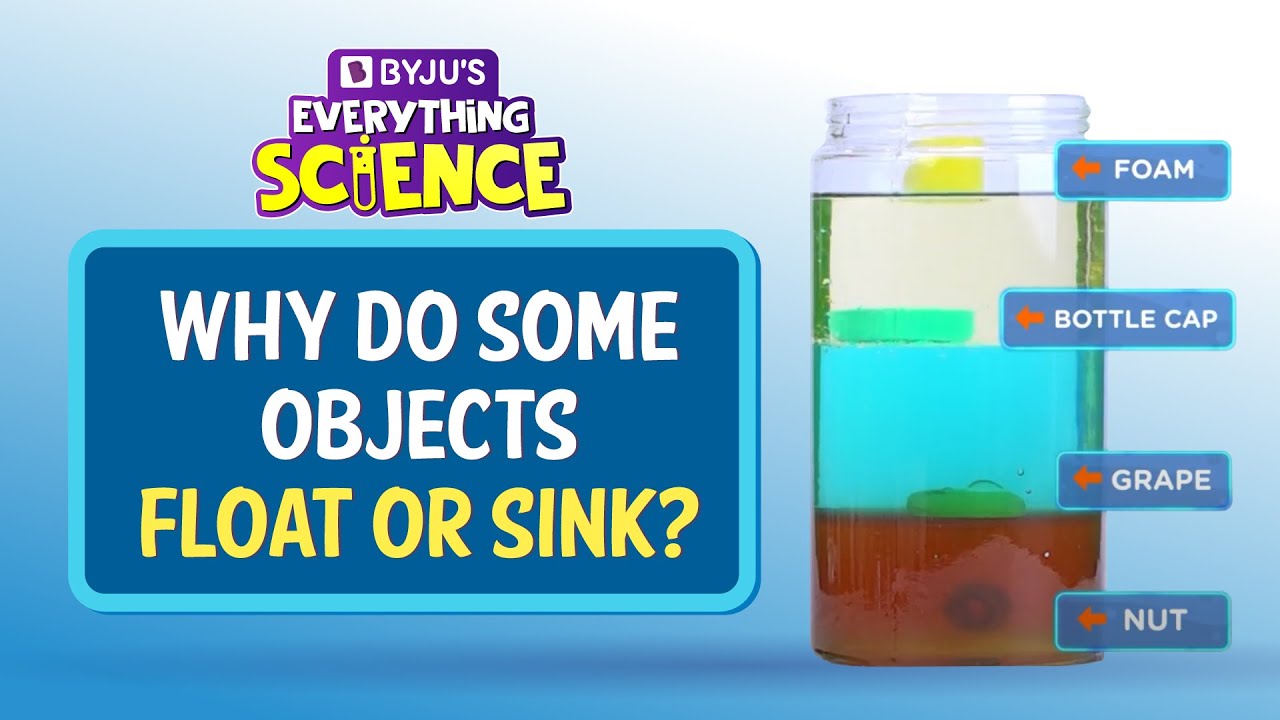 Why Do Objects Float Or Sink? | BYJU'S Everything Science #shorts