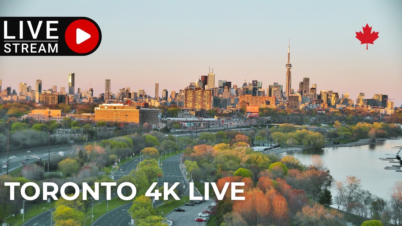 🔴 Toronto 4K LIVE 🇨🇦 CN Tower & Waterfront Skyline | Relaxing Lofi | Ultra HD 24/7 🍁