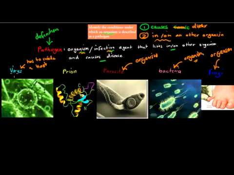 SB.2.2. What is a pathogen (HSC biology)