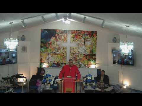 John 12:12-18 What does Palm sunday represent?
