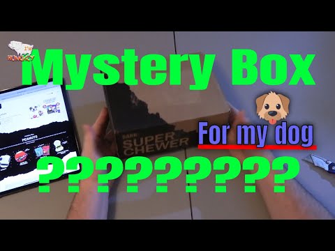 Bark Box Super Chewer - Mystery Box unboxing! Invasion of the Megabites