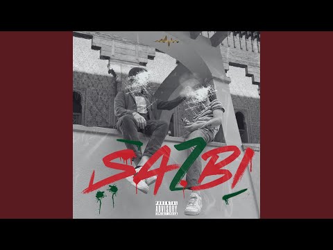 Sa7bi