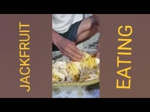 #jackfruit / namit GID