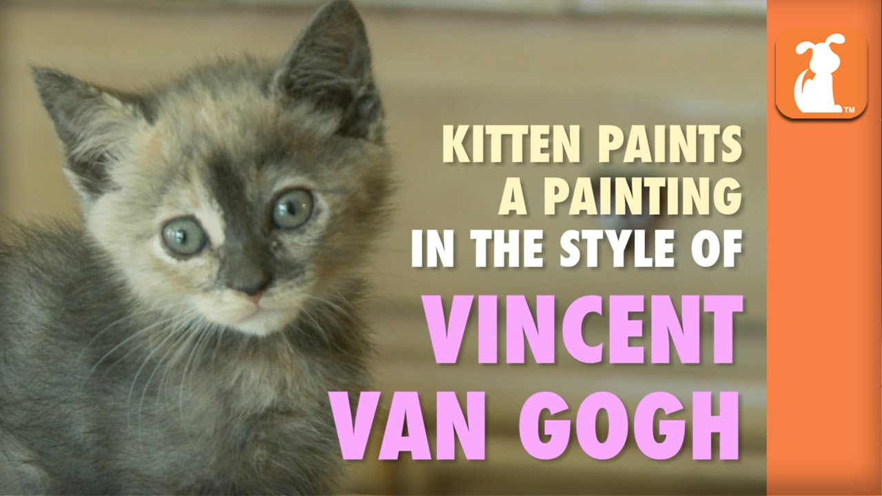 Kitten Paints A Van Gogh Painting - Kitten Love