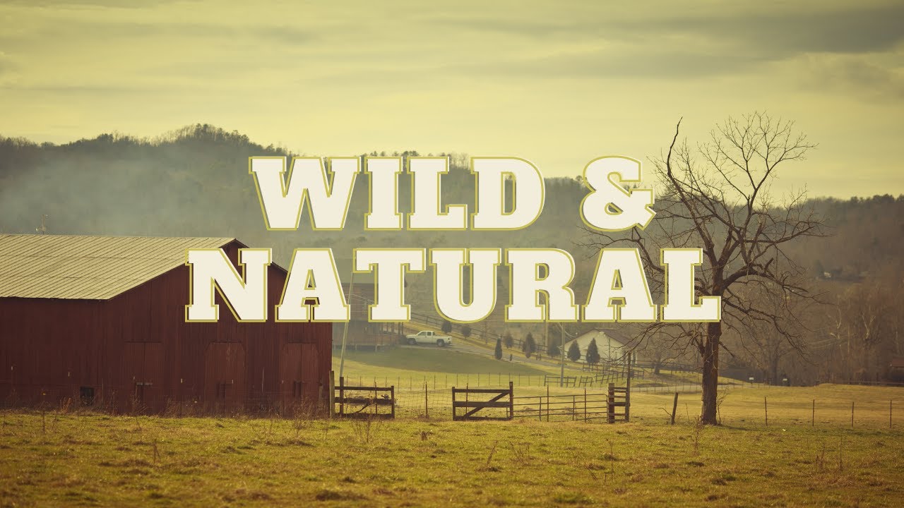 Timberwolf Legends - Wild and Natural