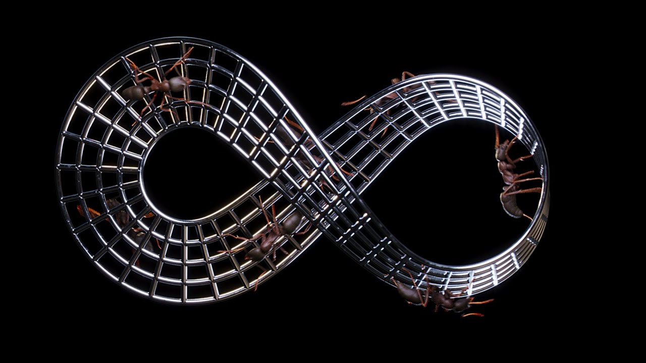 Ants on Möbius Strip - Enhanced Version