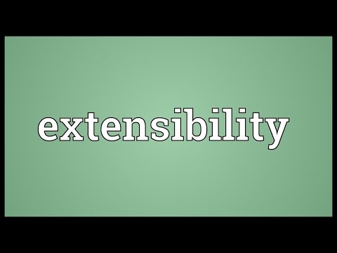 Extensibility Meaning