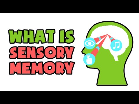 What is Sensory Memory | Explained in 2 min