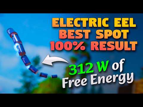 Electric Eel Best Spot - 100% Result | ⚡ 312 W of FREE Energy for Your Base ⚡ | ONCE HUMAN
