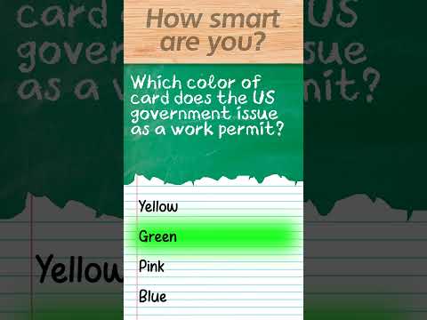 Which color of card does the US government issue as a work permit?