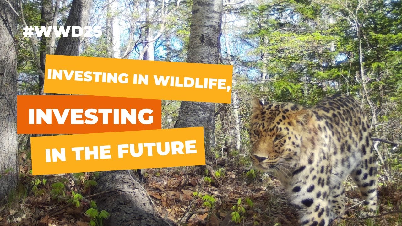 World Wildlife Day 2025: Investing in Wildlife, Investing in Our Future