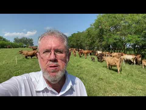 10 Steps to Make More Money in Cattle Ranching
