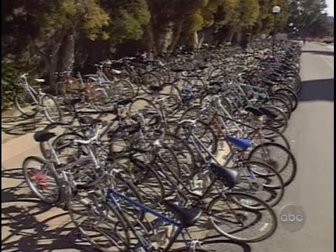 The Bicycles at UC Santa Barbara