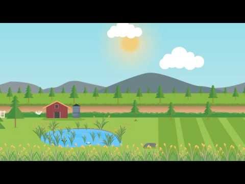 Landowner Benefits of Wetland Restoration | Graham Sustainability Institute
