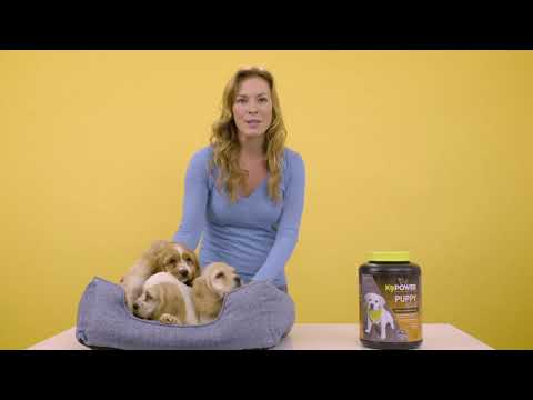 K9 POWER DOG SUPPLEMENT - PUPPY GOLD (MADE IN USA)