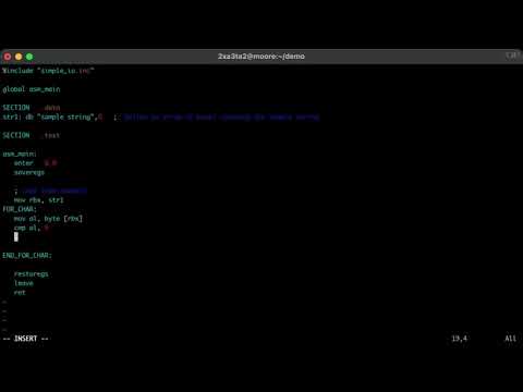 NASM For Char Example Compared to Python Loop