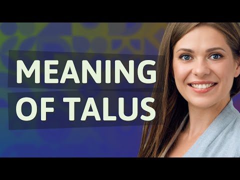 Talus | meaning of Talus