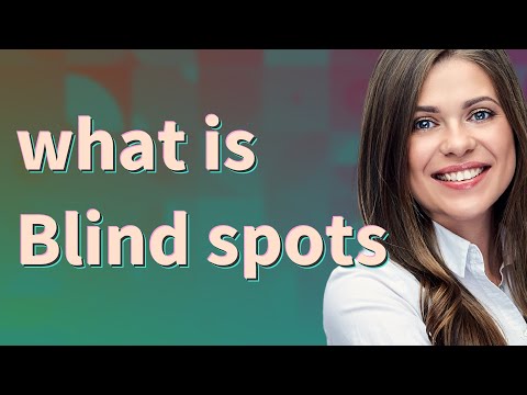 Blind spots | meaning of Blind spots