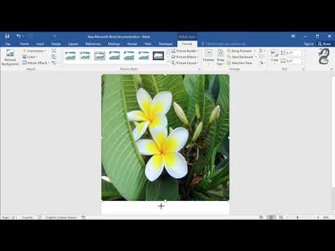 How to make an image fill the entire page in Word Using full size of page for an image