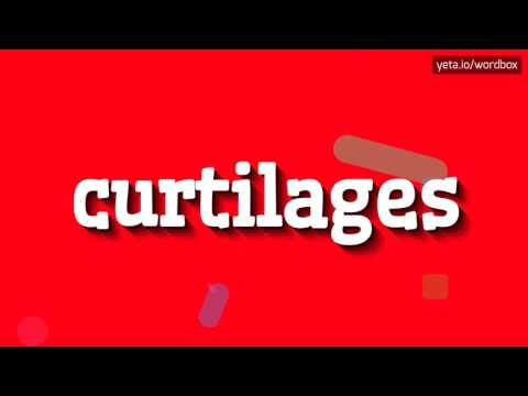 CURTILAGES - HOW TO PRONOUNCE IT!?