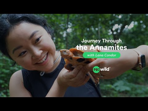 Journey Through the Annamites with Lana Condor