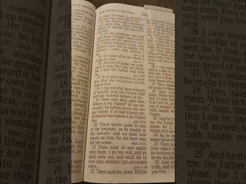 John 8 KJV