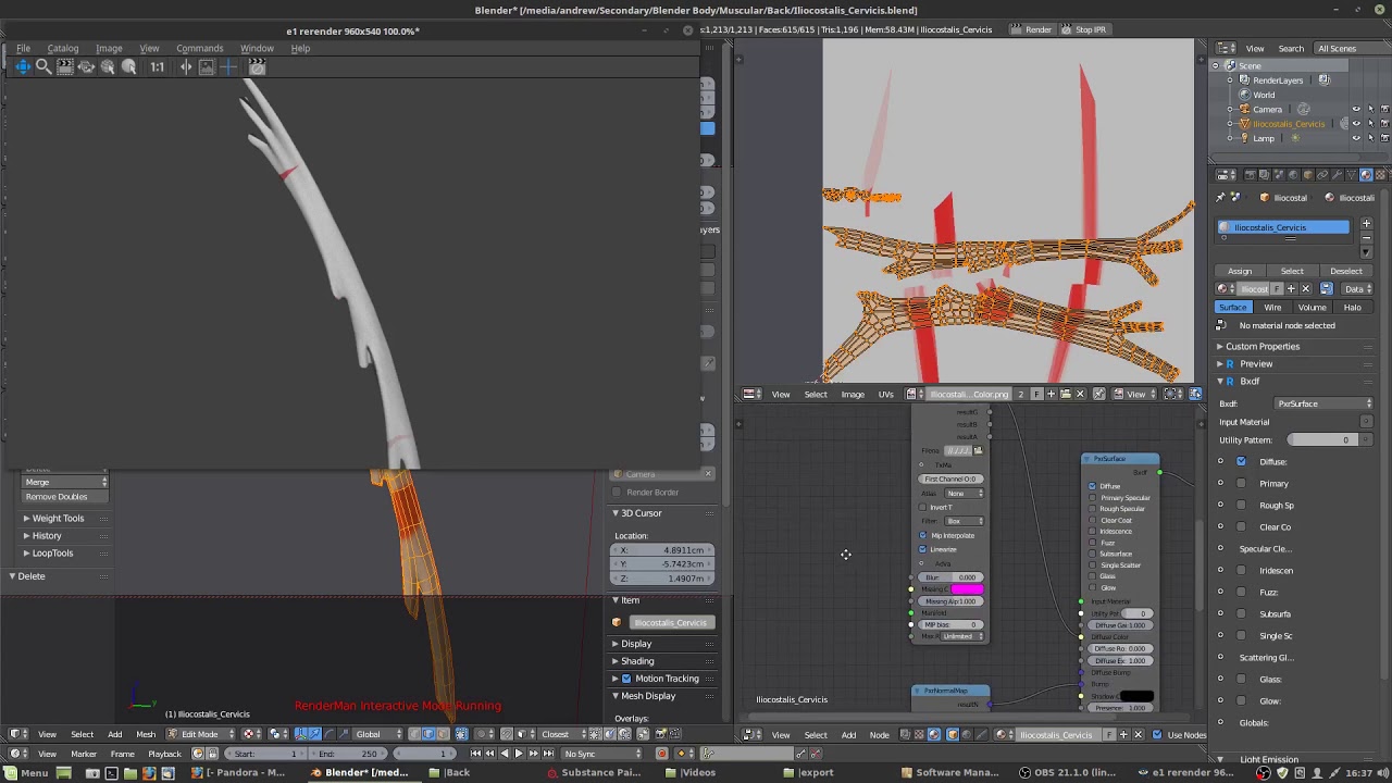 Recent RenderMan Issue in Blender